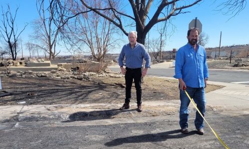 Forensic Structural Engineer - Level Engineering